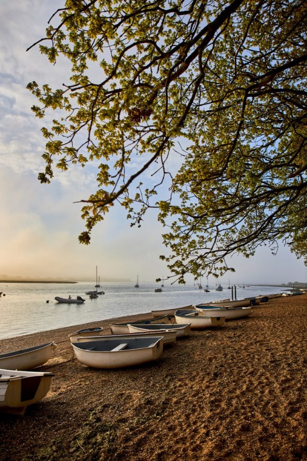 Gallery. – Maybush Inn