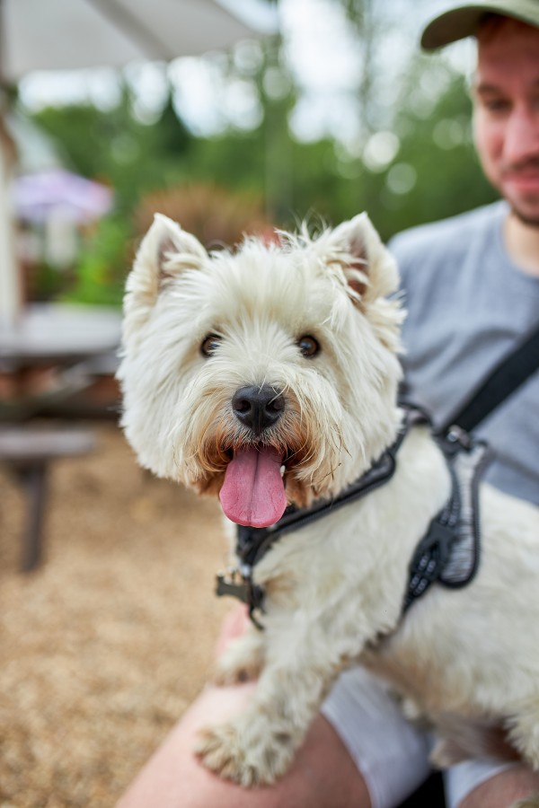 Deben Inns Ltd – Welcome Inn